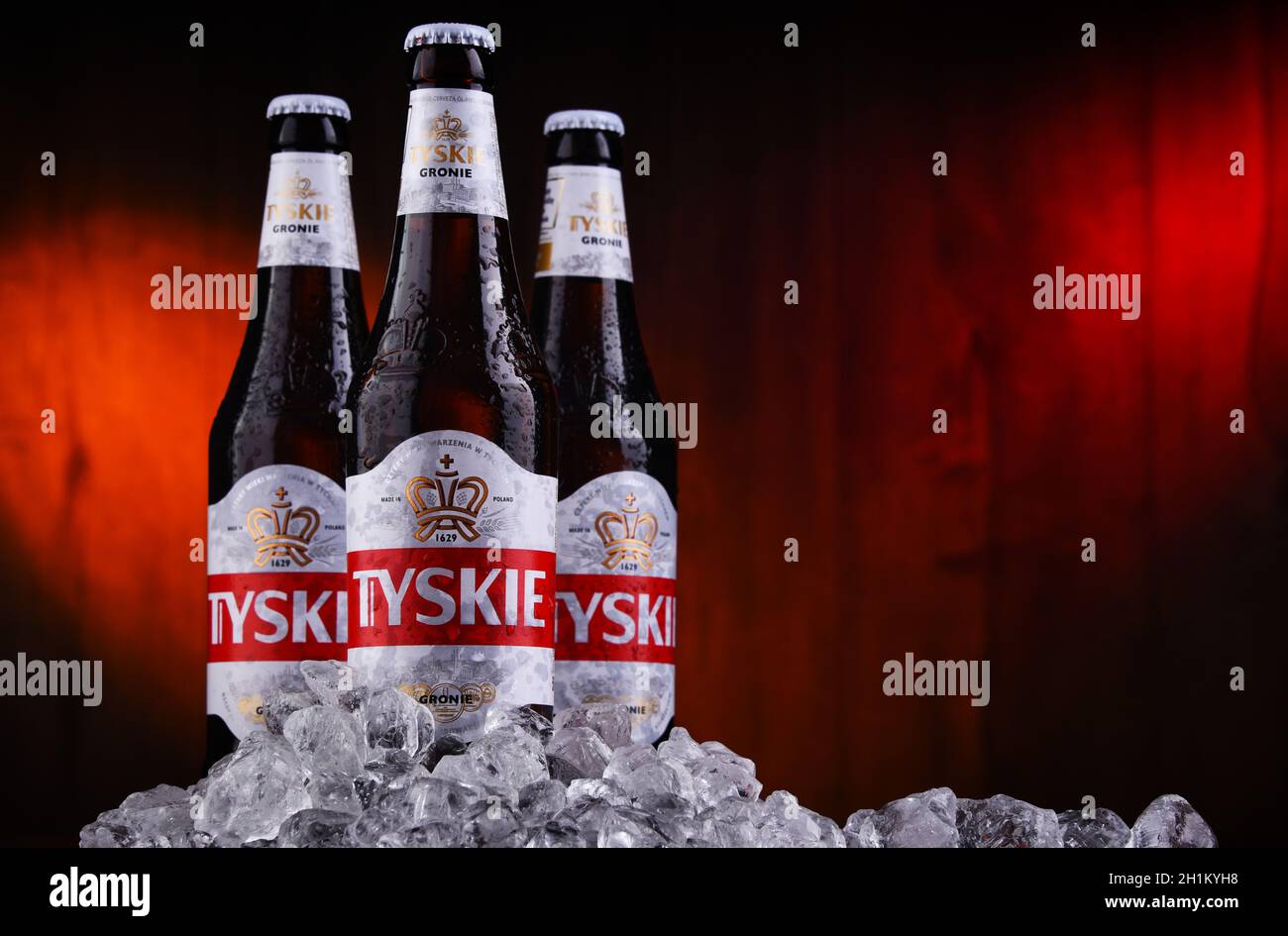 Yski Logo