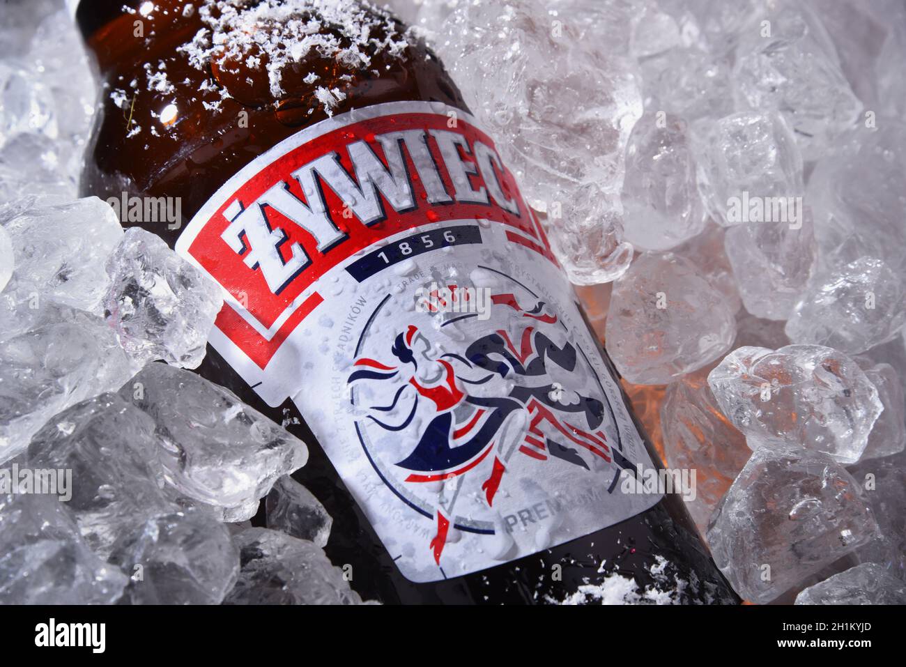 POZNAN, POL - OCT 8, 2020: Bottle of Zywiec Beer, a pale lager, which ...