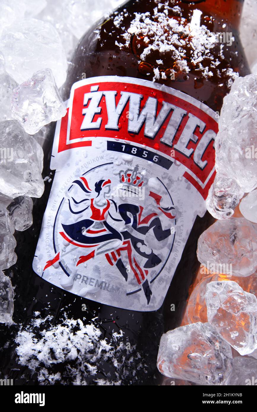 POZNAN, POL - OCT 8, 2020: Bottle of Zywiec Beer, a pale lager, which ...