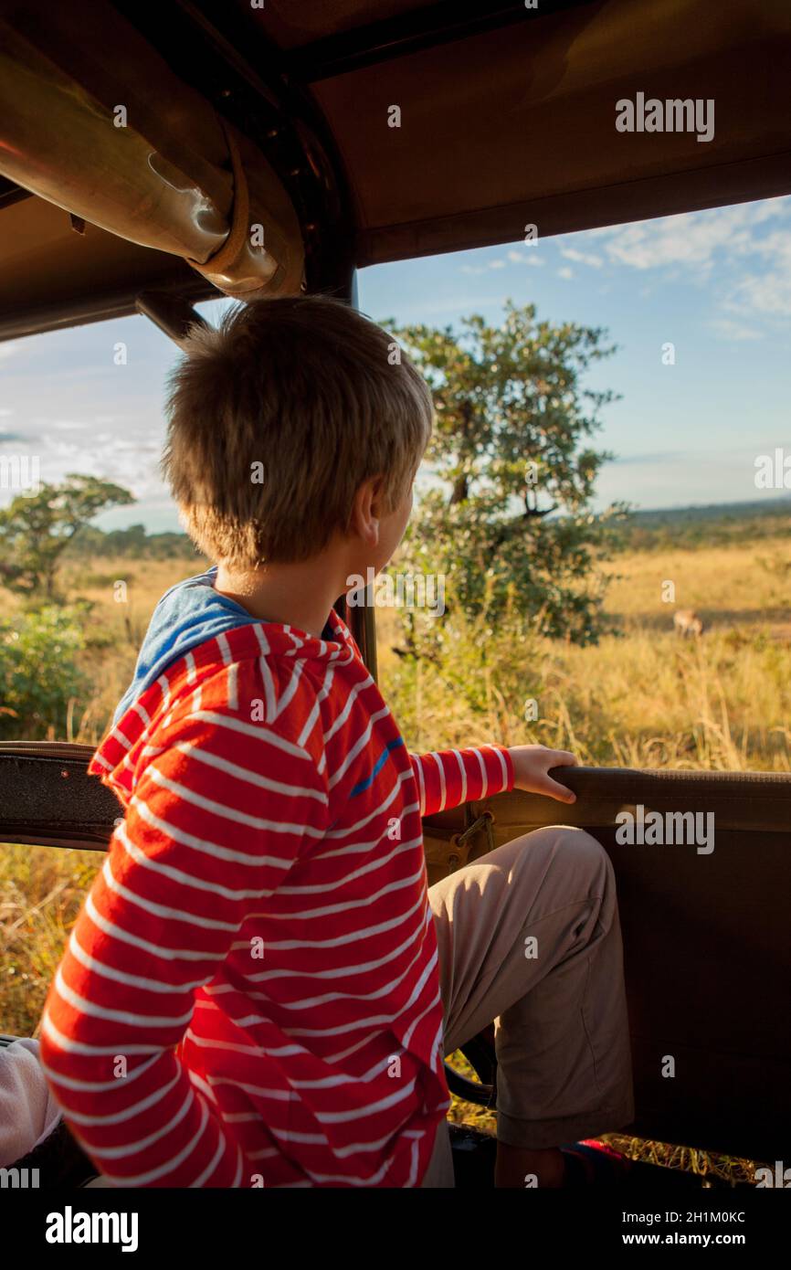 Young tween boy looking to from a jeep on safari Stock Photo - Alamy