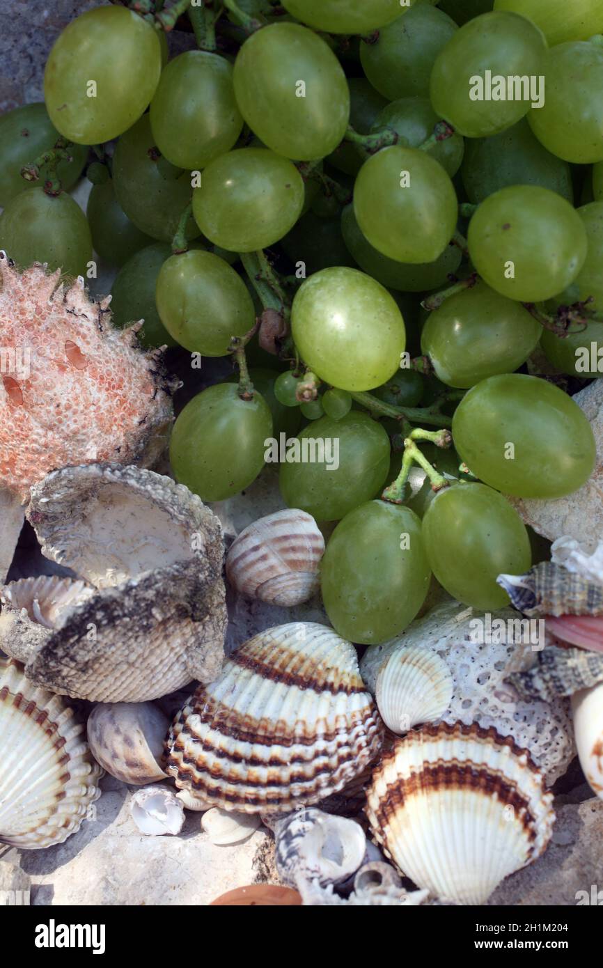 Mediterranean: grapes, figs and shells Stock Photo - Alamy