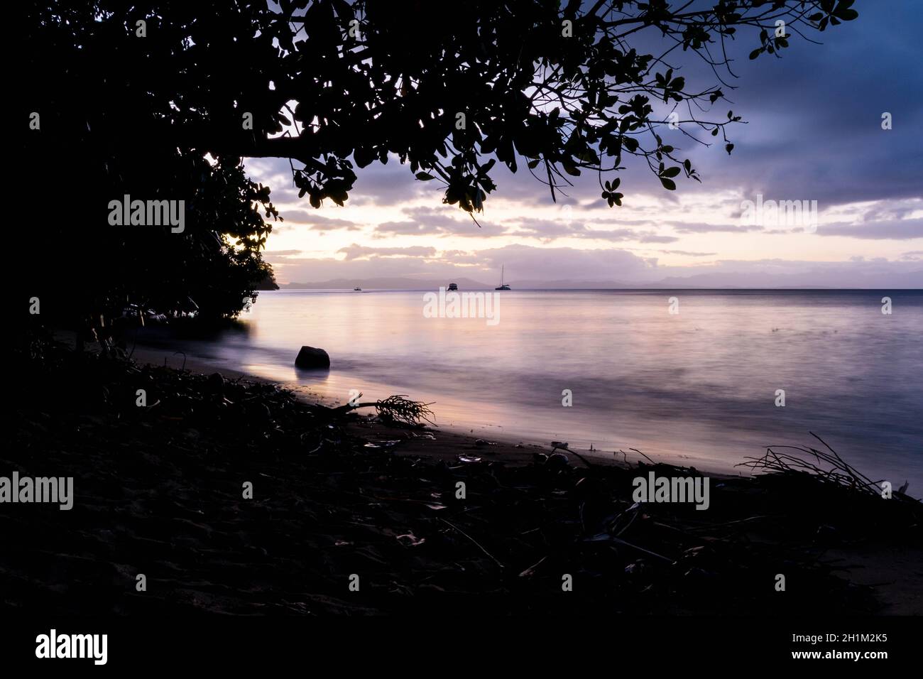 Night sky under island trees hi-res stock photography and images - Alamy