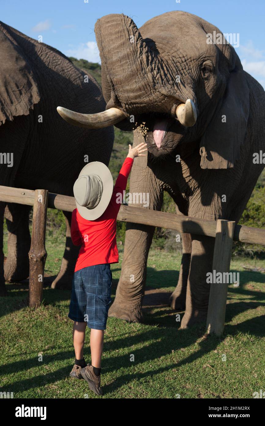 South africa safari and kids hi-res stock photography and images - Alamy