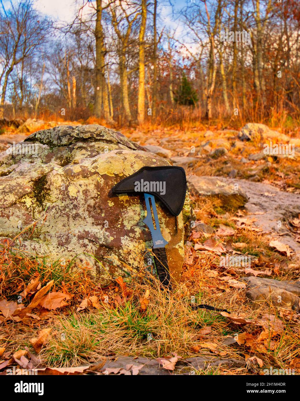 Throwing tree trunks hi-res stock photography and images - Alamy