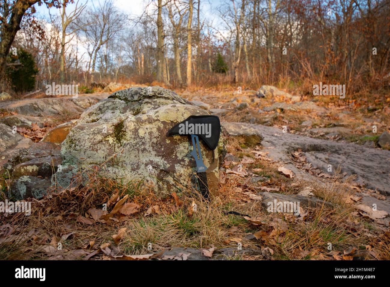 Throwing tree trunks hi-res stock photography and images - Alamy