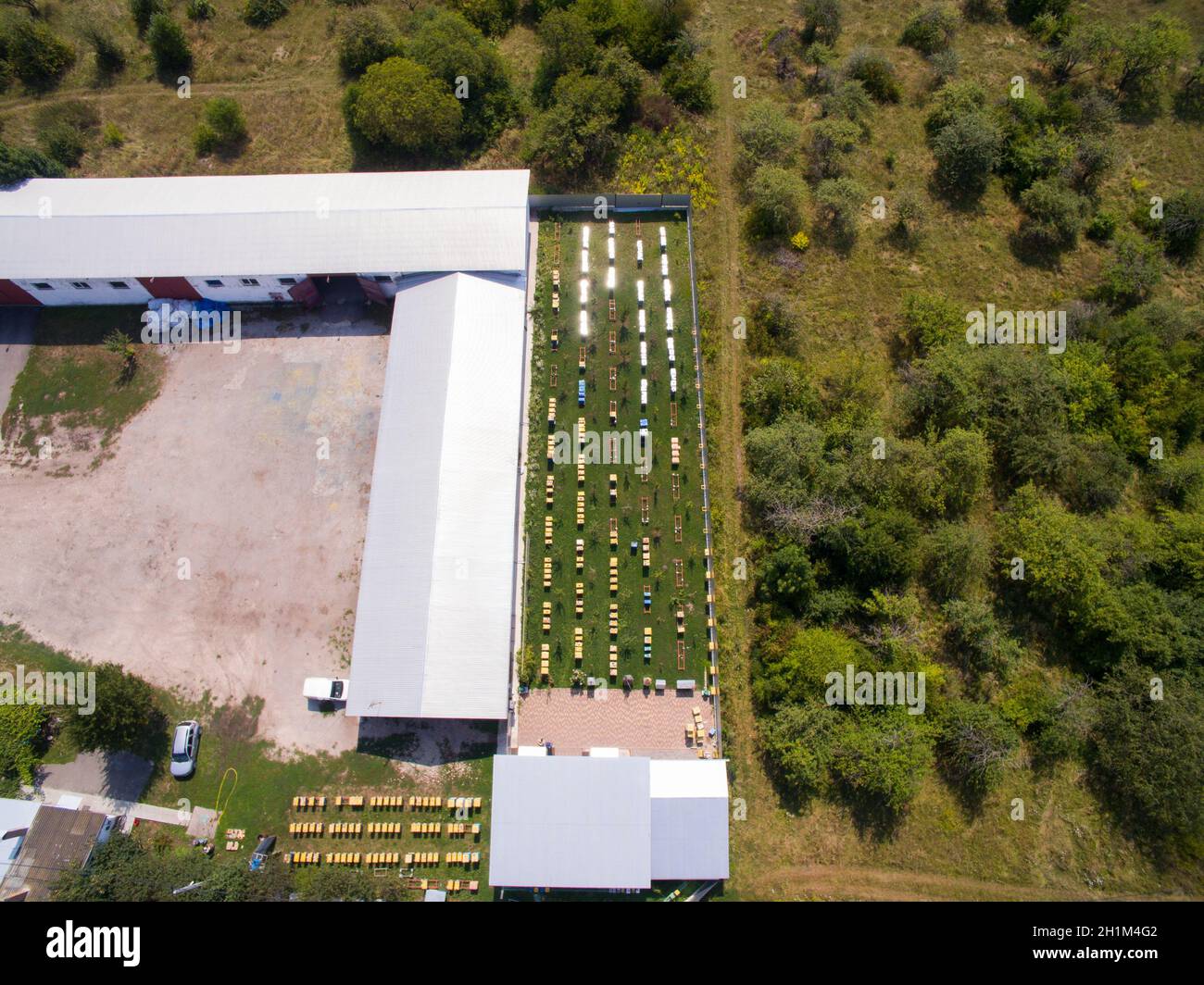 Aerial dron view of the Great Apiary. Many healthy families of honey ...