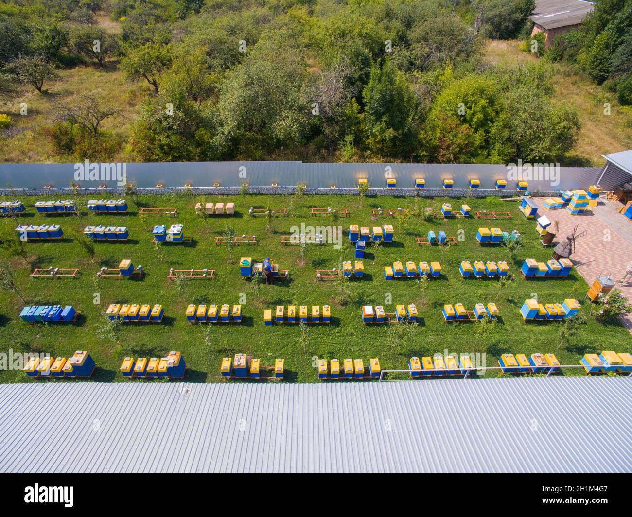 Aerial dron view of the Great Apiary. Many healthy families of honey ...