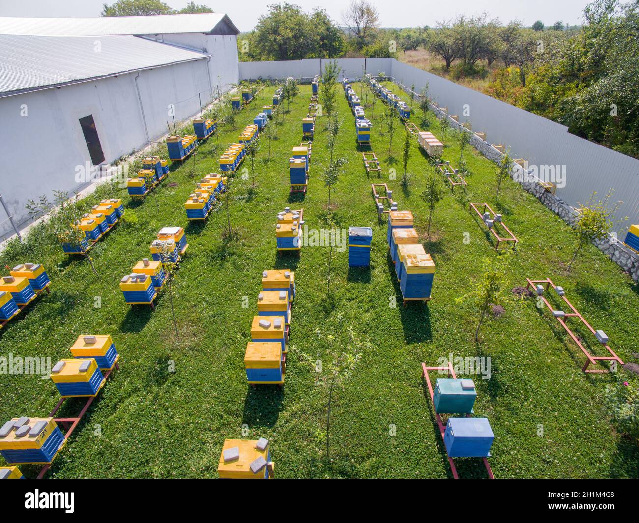 Aerial dron view of the Great Apiary. Many healthy families of honey ...