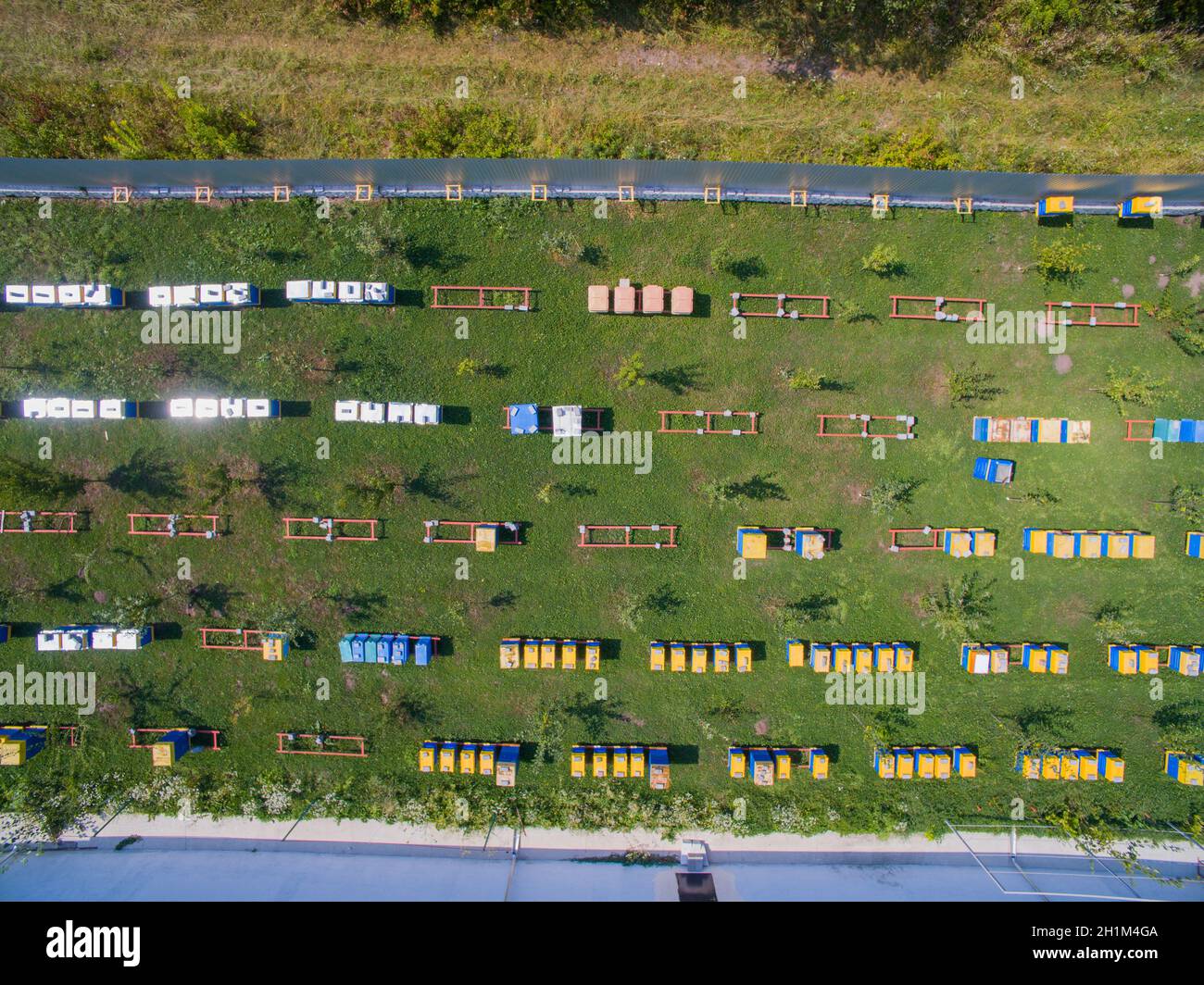 Aerial dron view of the Great Apiary. Many healthy families of honey ...