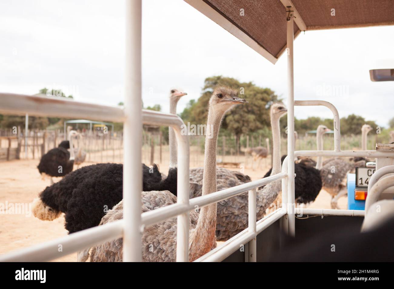 Enclosement hi-res stock photography and images - Alamy