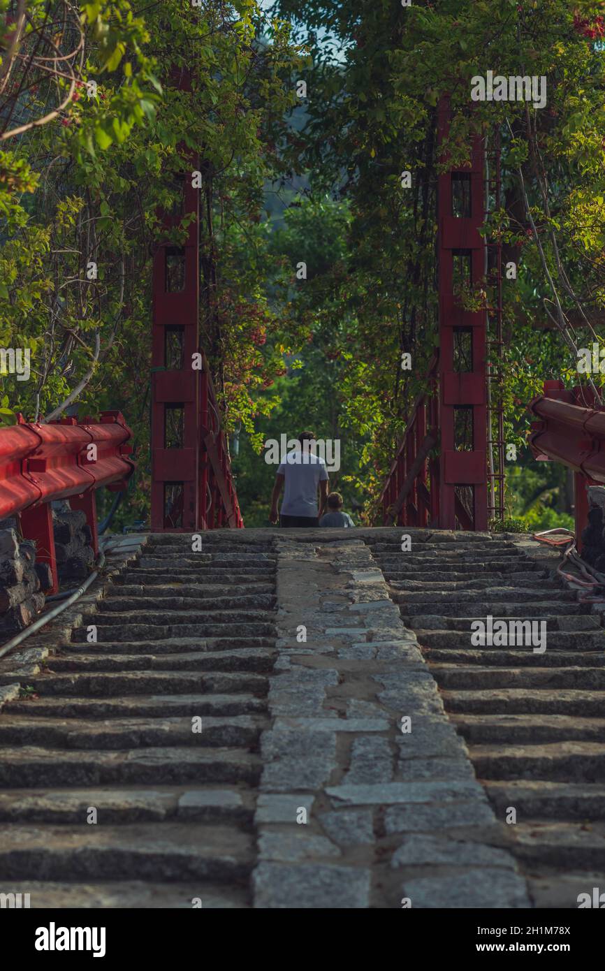 Suspension pedestrian iron bridge perspective footpath summer forest ...