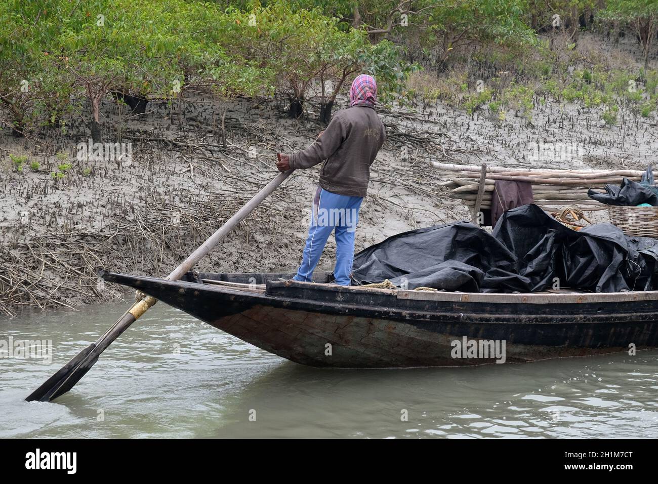 Rowing boat in the swampy areas of the Sundarbans, UNESCO World ...