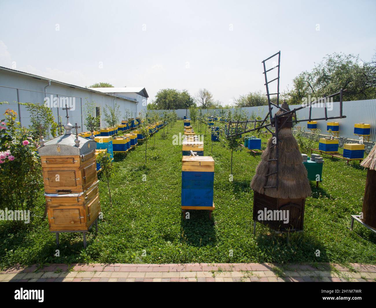 Aerial dron view of the Great Apiary. Many healthy families of honey ...