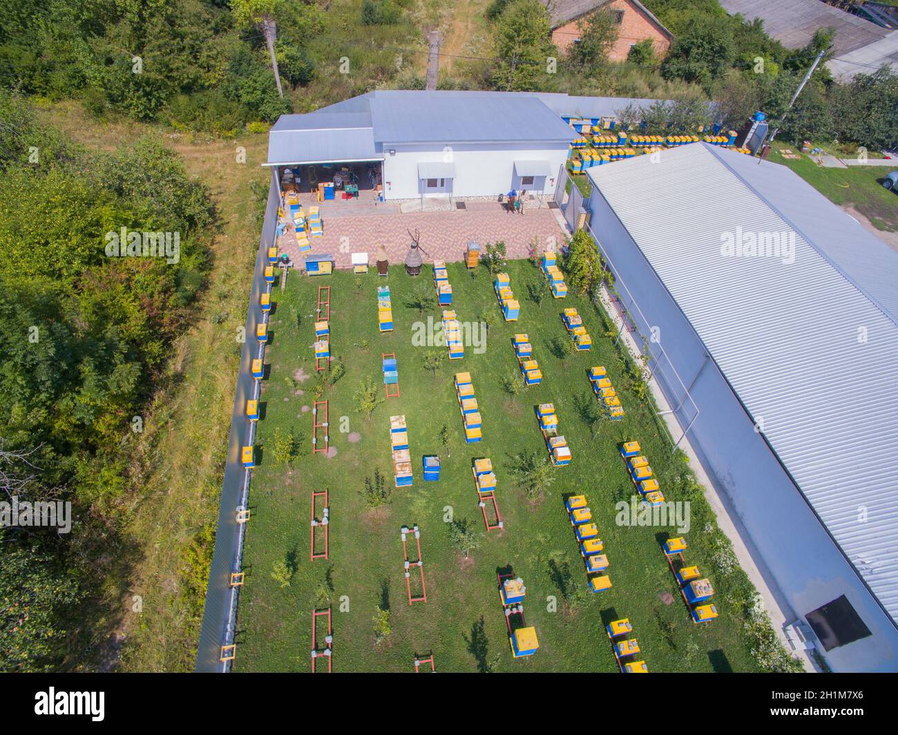 Aerial dron view of the Great Apiary. Many healthy families of honey ...