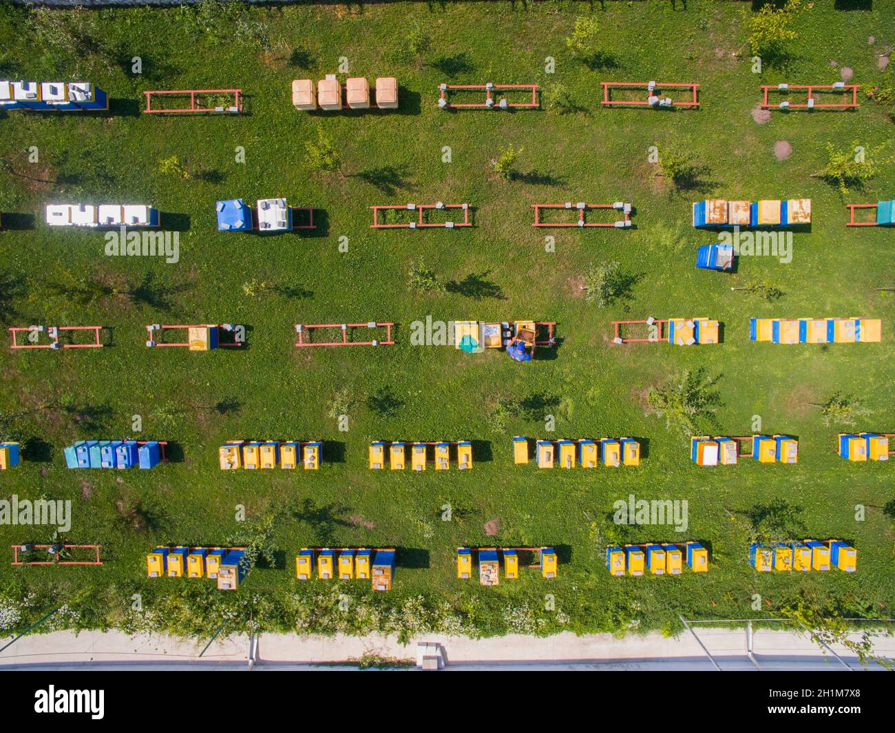 Aerial dron view of the Great Apiary. Many healthy families of honey ...