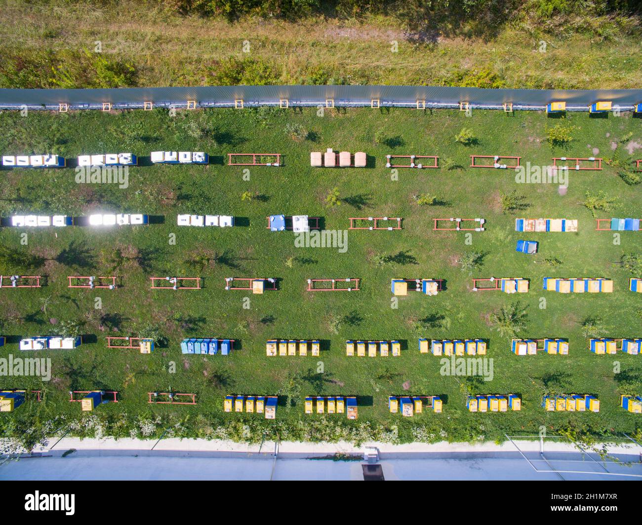 Aerial dron view of the Great Apiary. Many healthy families of honey ...