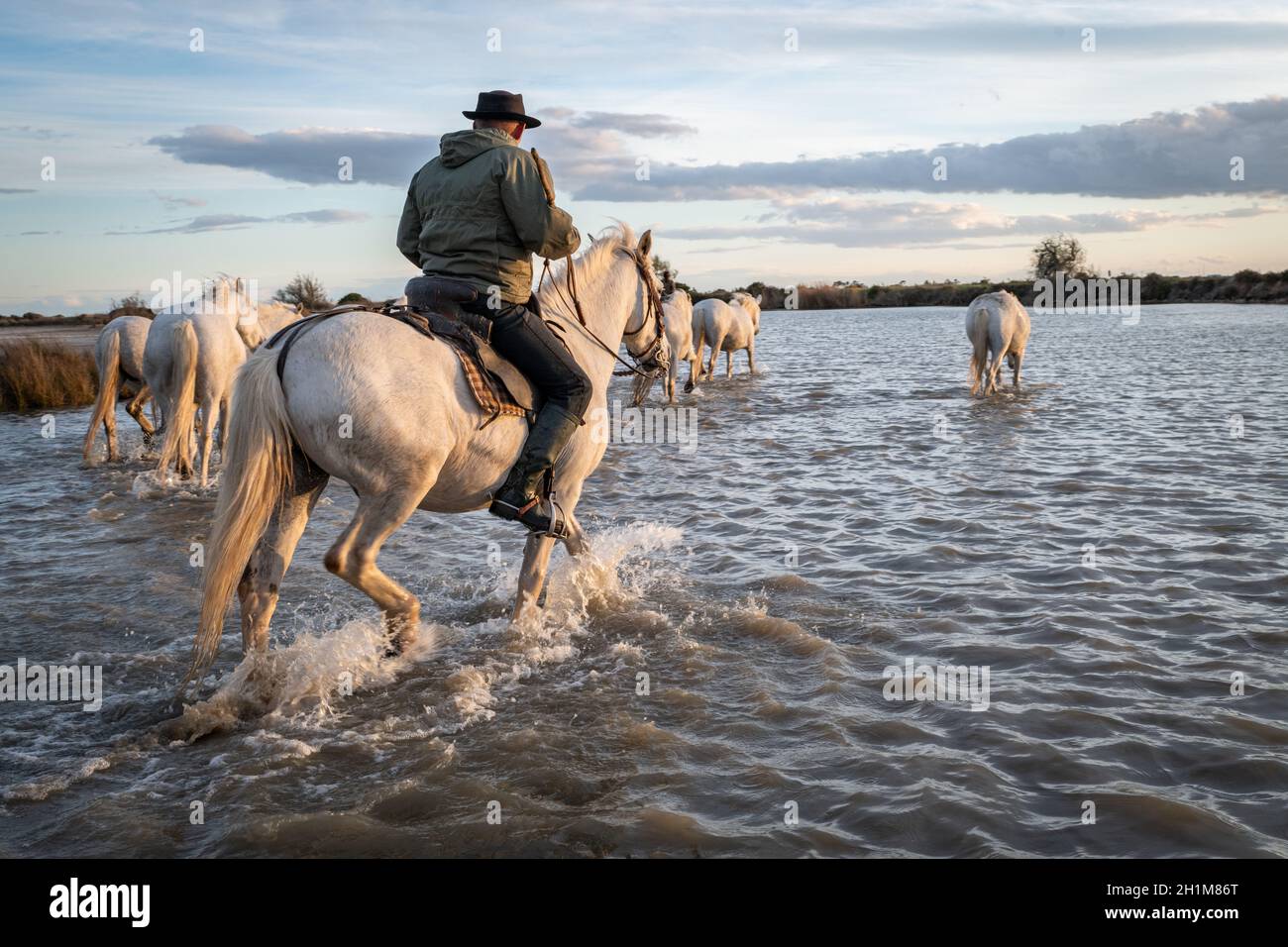 Camargue, France, April 27 2019 : White horses and two guardians are ...