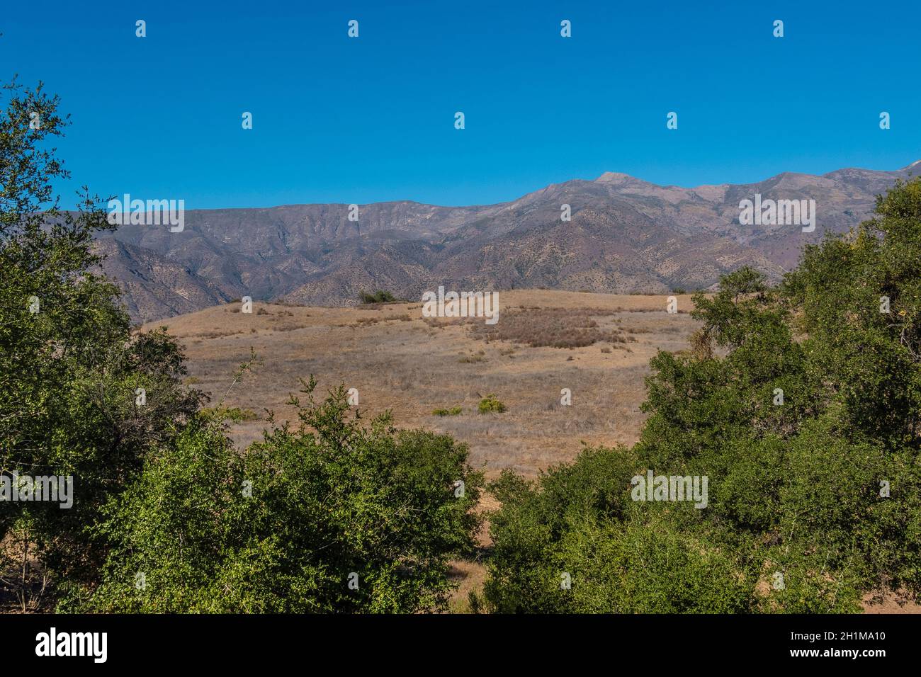 View of the landscape surrounding the Beatrice Wood Center for the Arts ...