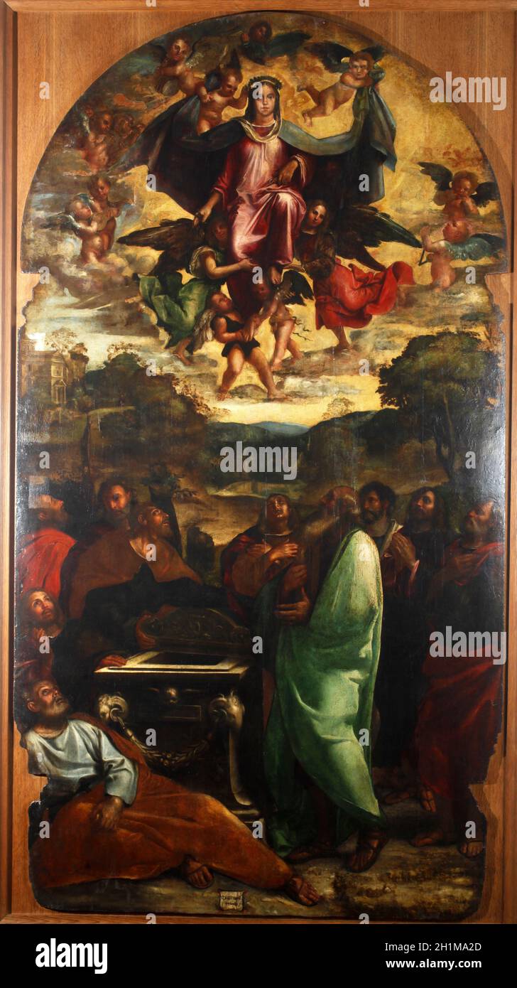 Lorenzo Luzzo: Assumption of the blessed Virgin Mary Stock Photo - Alamy