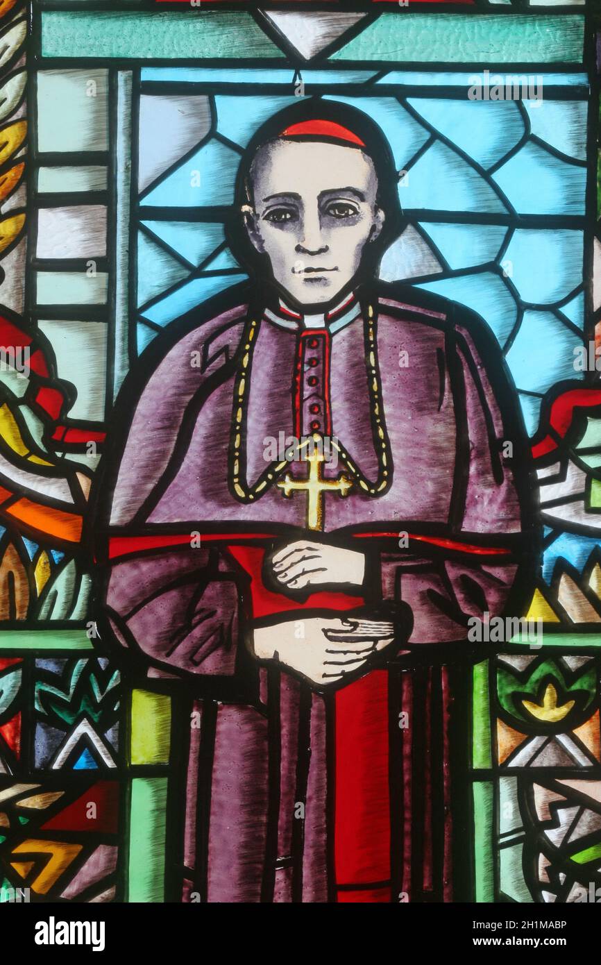 Blessed aloysius stepinac hi-res stock photography and images - Alamy