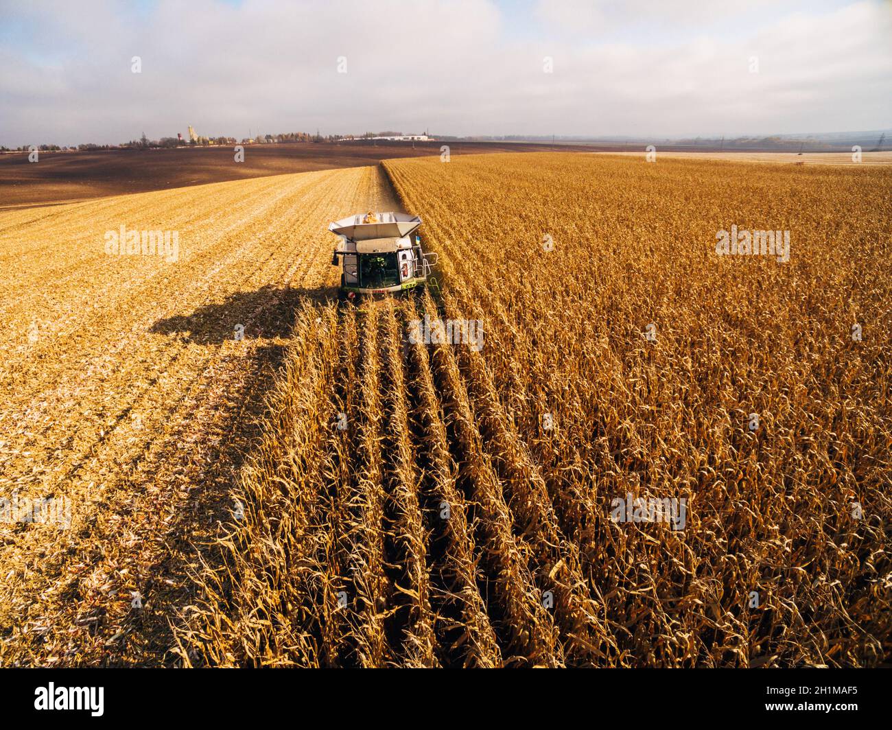 Aerial over green corn field hi-res stock photography and images - Alamy