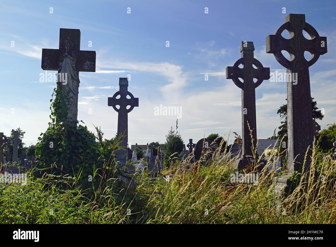 Old Rath Cemetery Stock Photo - Alamy
