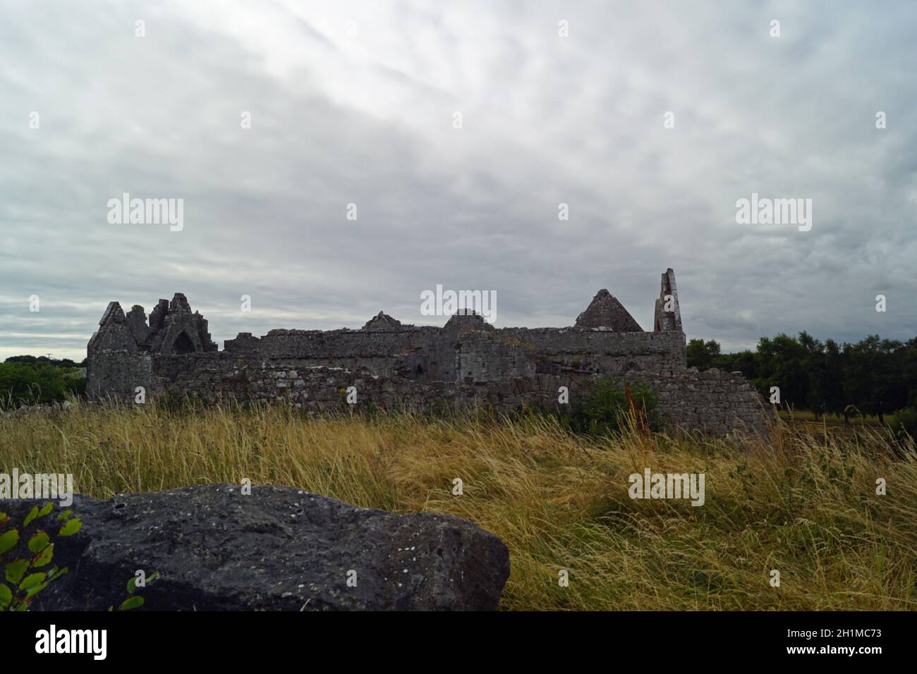 Ruins of the former Franciscan Monastery, Askeaton at the River Deel ...