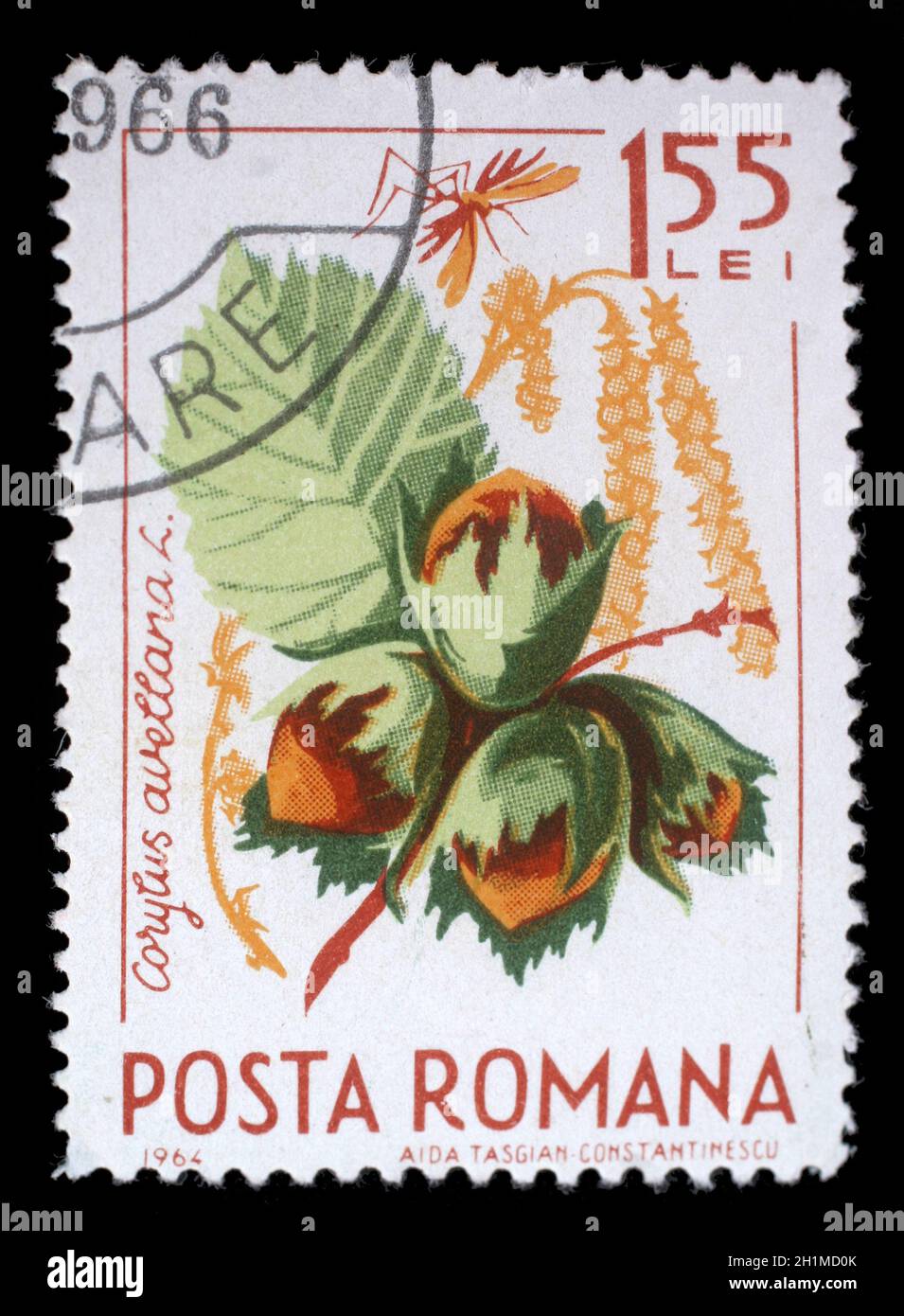 Stamp printed in the Romania shows Hazelnuts, Corylus Avelana, Common ...