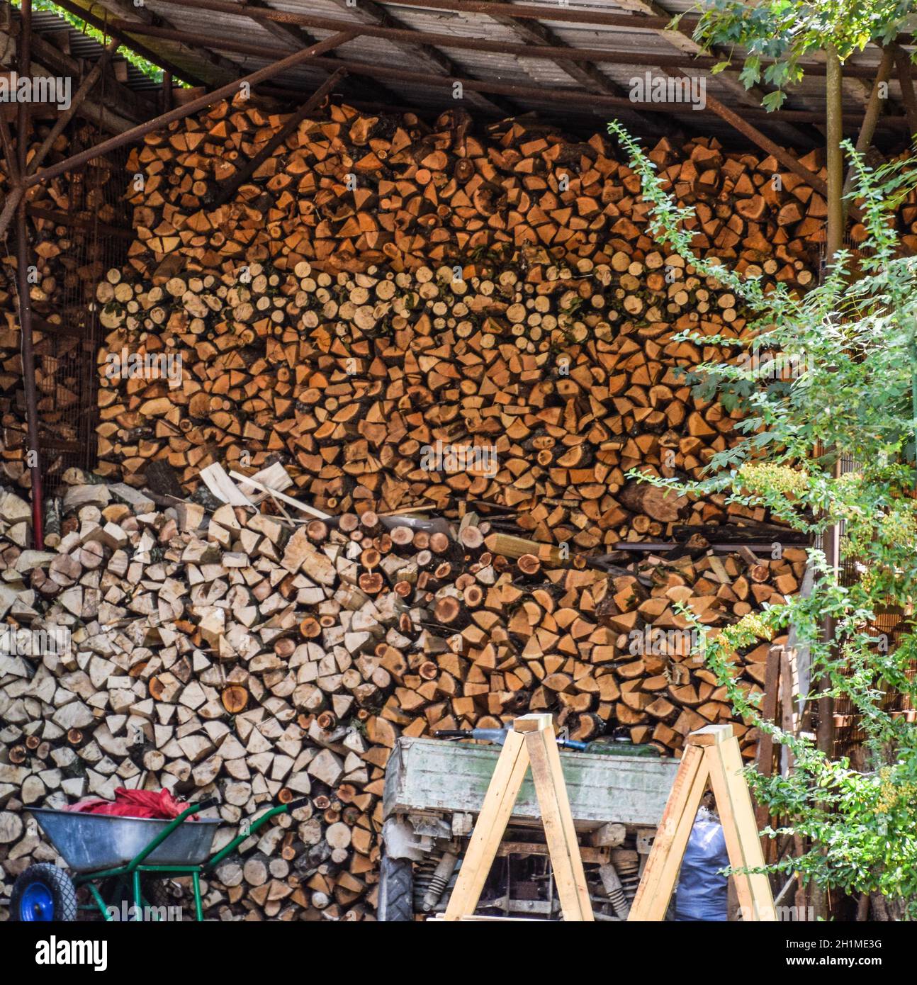 Woodpile under tree hi-res stock photography and images - Alamy