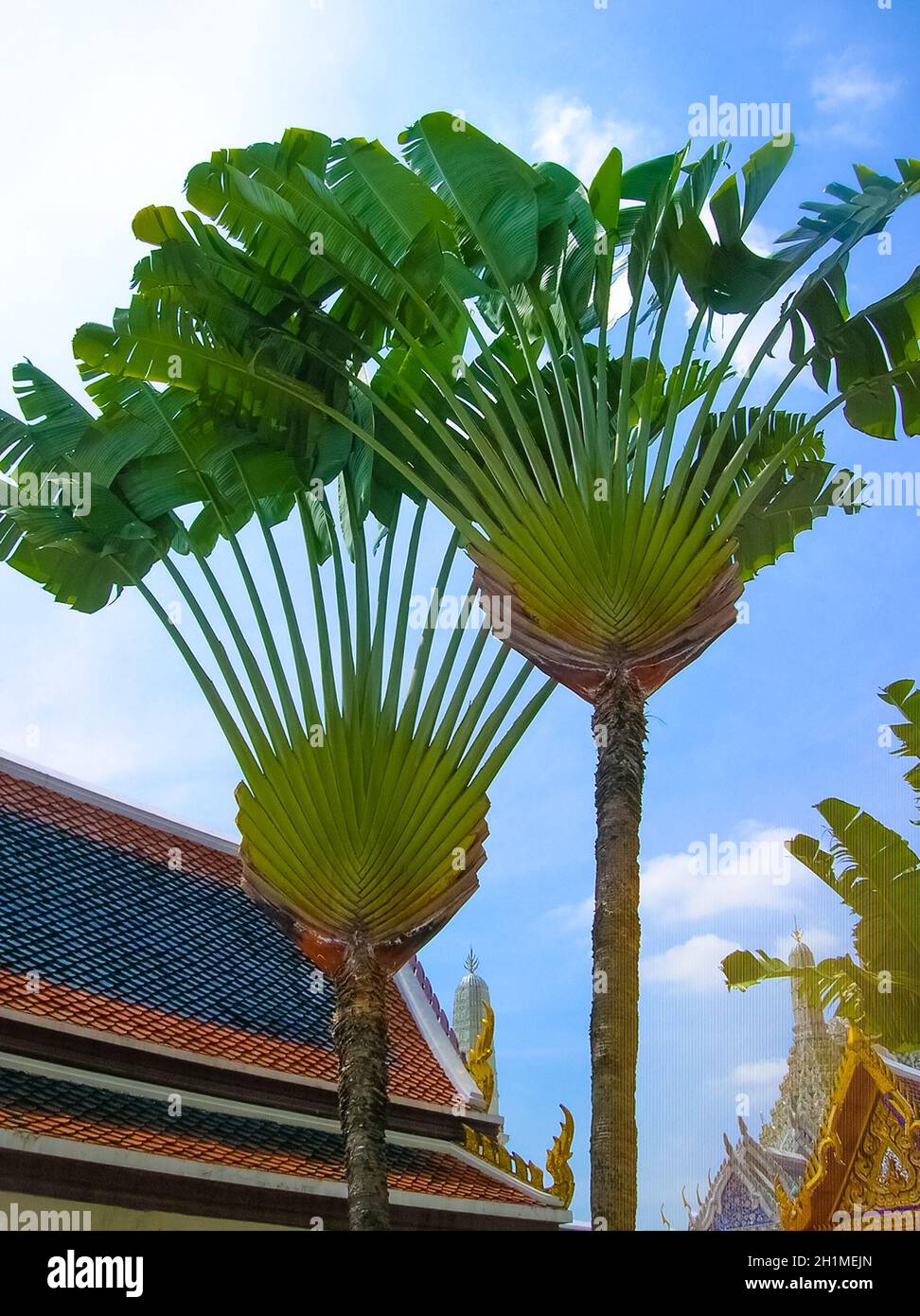 Bangkok, Thailand - June 30, 2008: The Royal Palace palace of the king ...