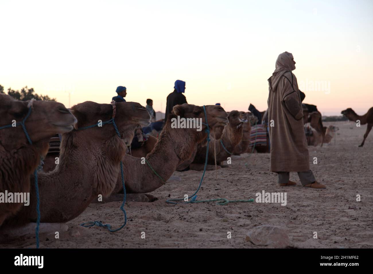 Morning in Sahara desert Stock Photo - Alamy