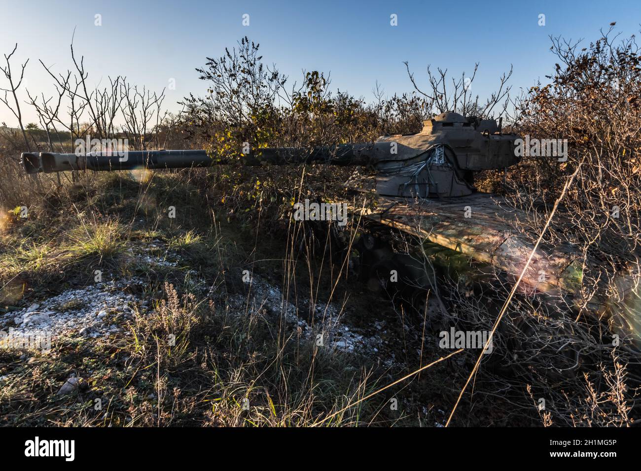 overgrown tank in a pit in the nature at a test ground Stock Photo - Alamy