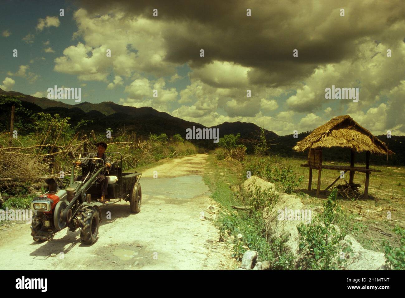 a farmer in the Landscape of the Village of Muang Sing in the Province ...