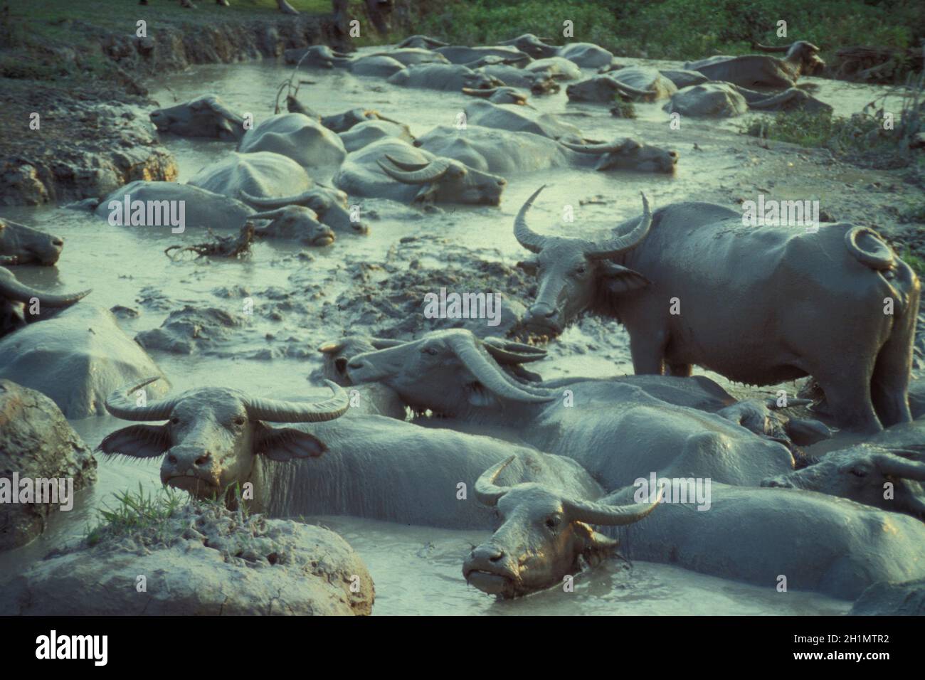 Phonsavan town hi-res stock photography and images - Alamy