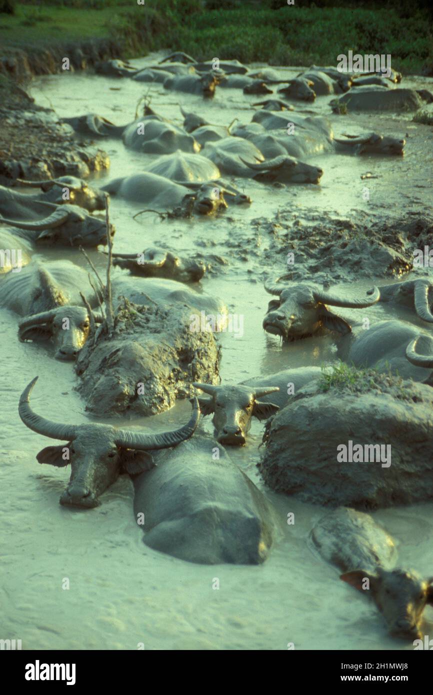 Phonsavan town hi-res stock photography and images - Alamy