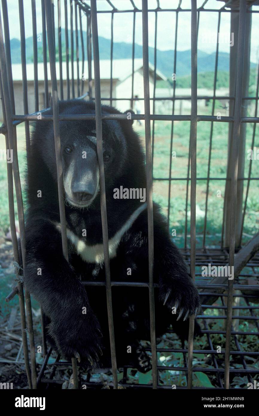 Chity hi-res stock photography and images - Alamy