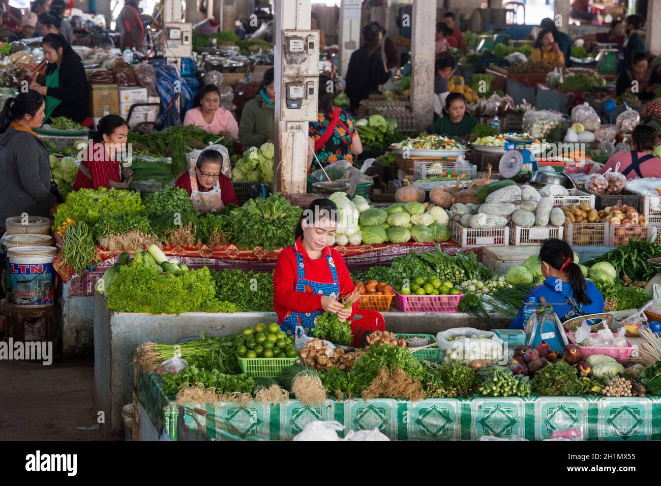 Vegetable at the food Market in the Village of Huay Xai in Lao at the ...