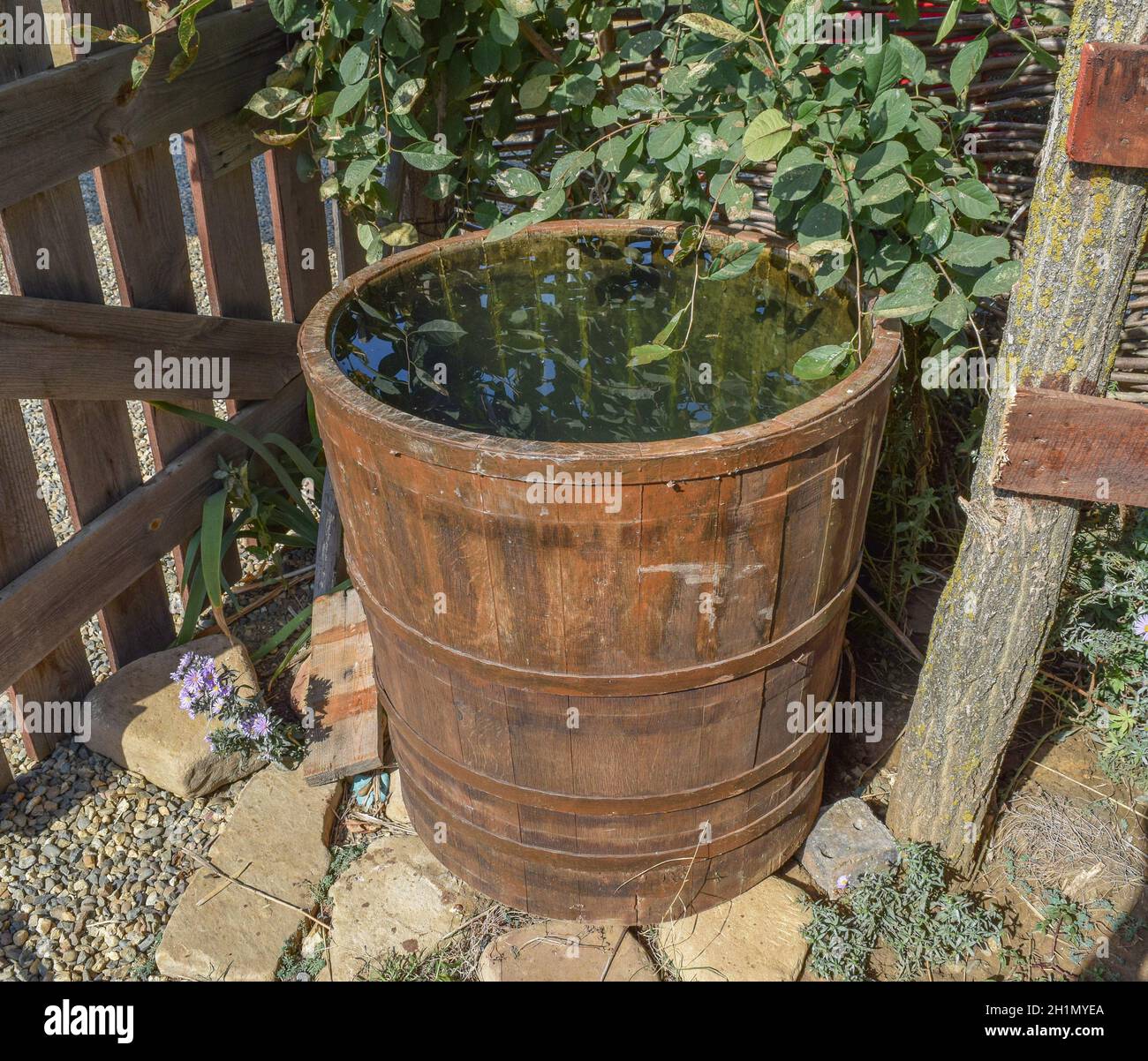 Clear rain water storage hi-res stock photography and images - Alamy