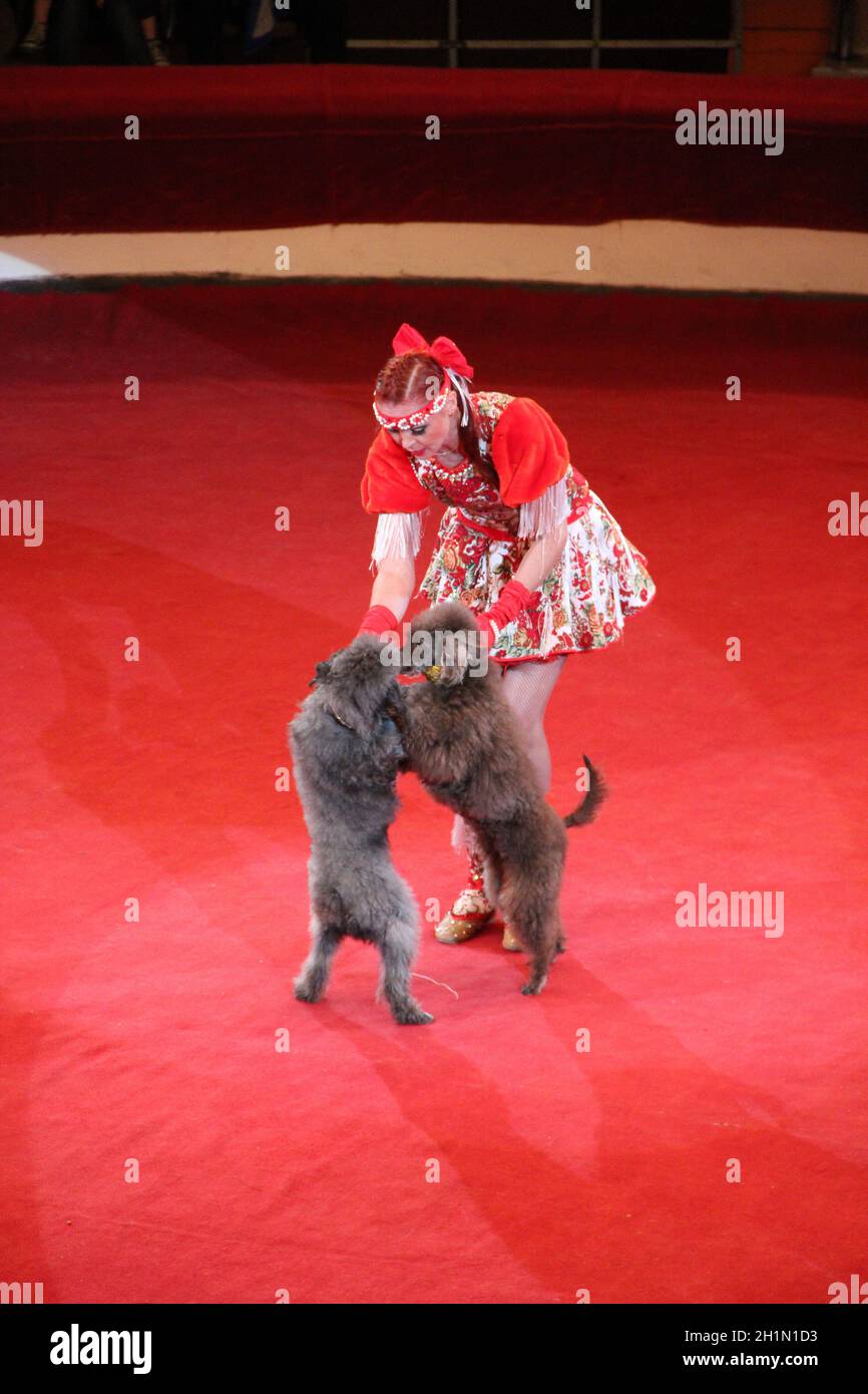 Two Dogs Dance High Resolution Stock Photography and Images - Alamy