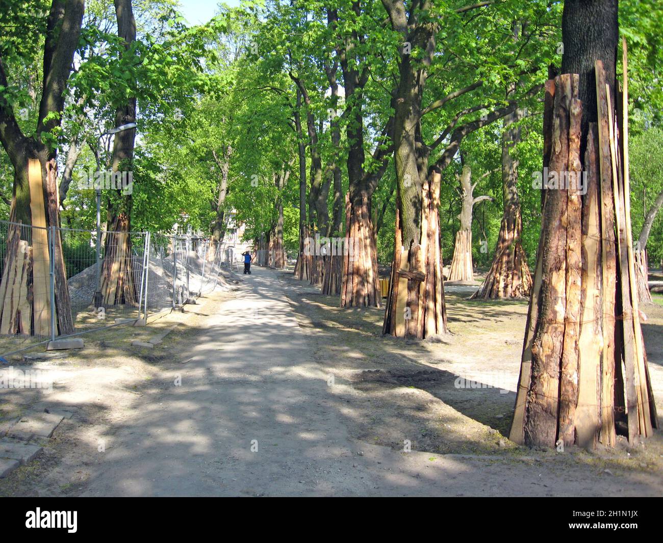 Wane wood hi-res stock photography and images - Alamy