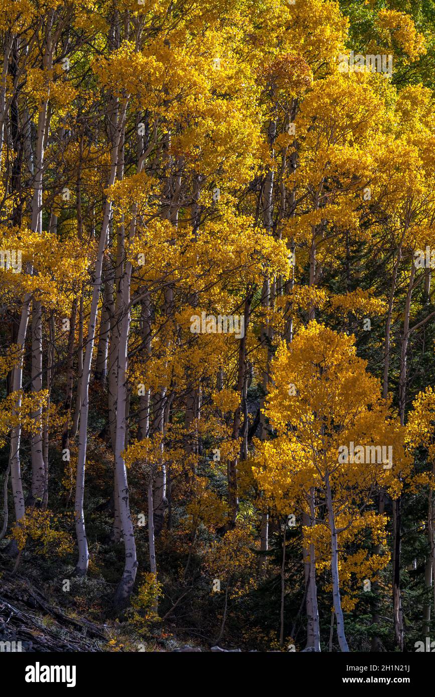 Ohio pass hi-res stock photography and images - Alamy