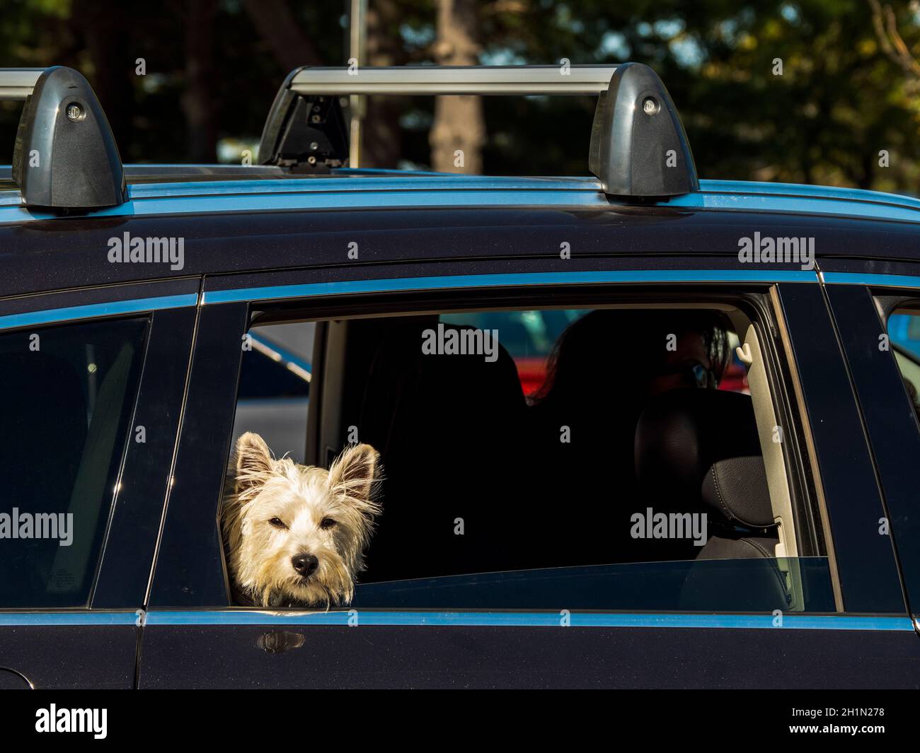 Car roof racks hi-res stock photography and images - Alamy