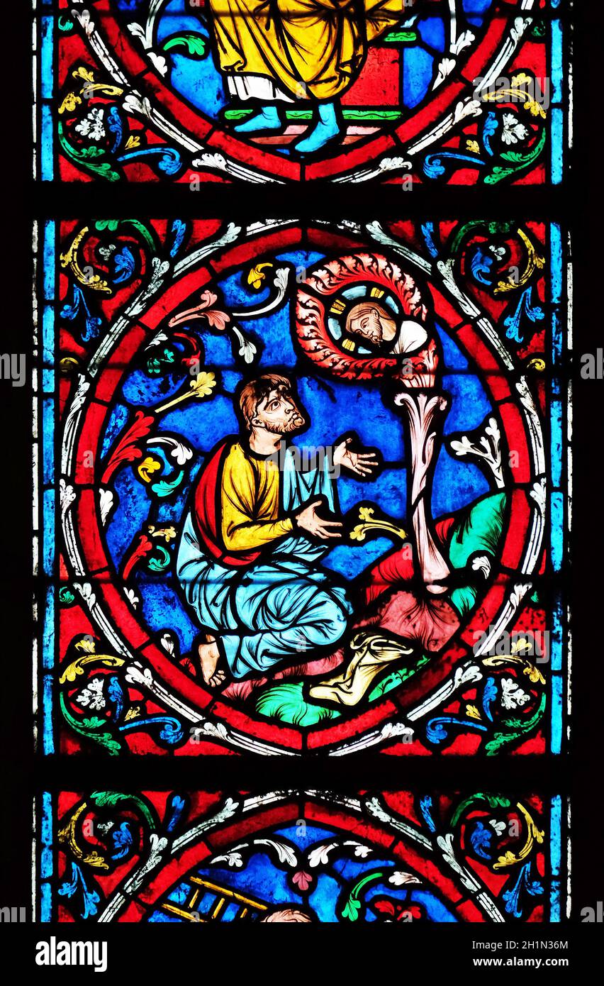 Moses, stained glass window in the Notre Dame Cathedral, UNESCO World ...
