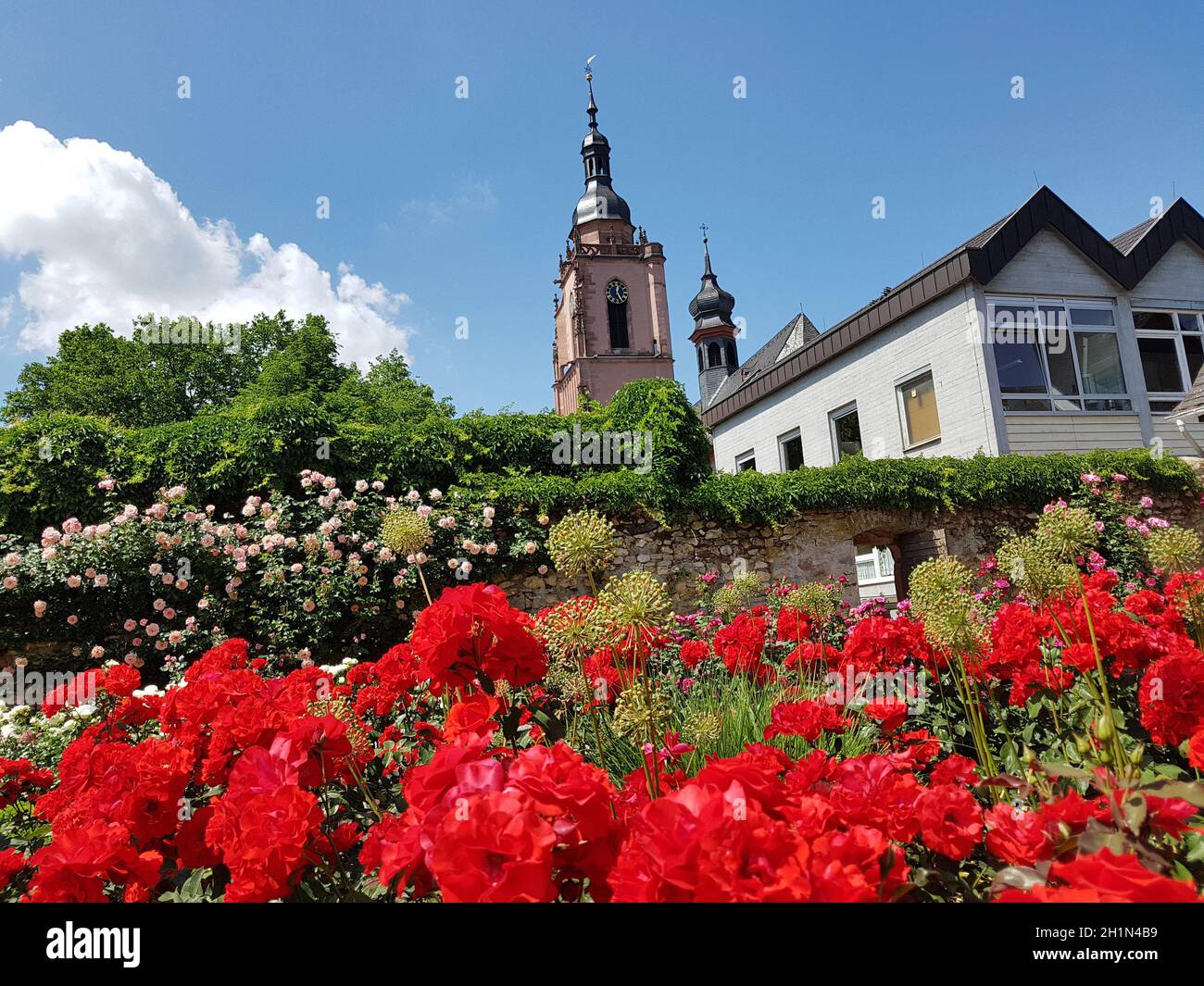 Kirche, Eltville, Deutschland, Rhein Stock Photo - Alamy