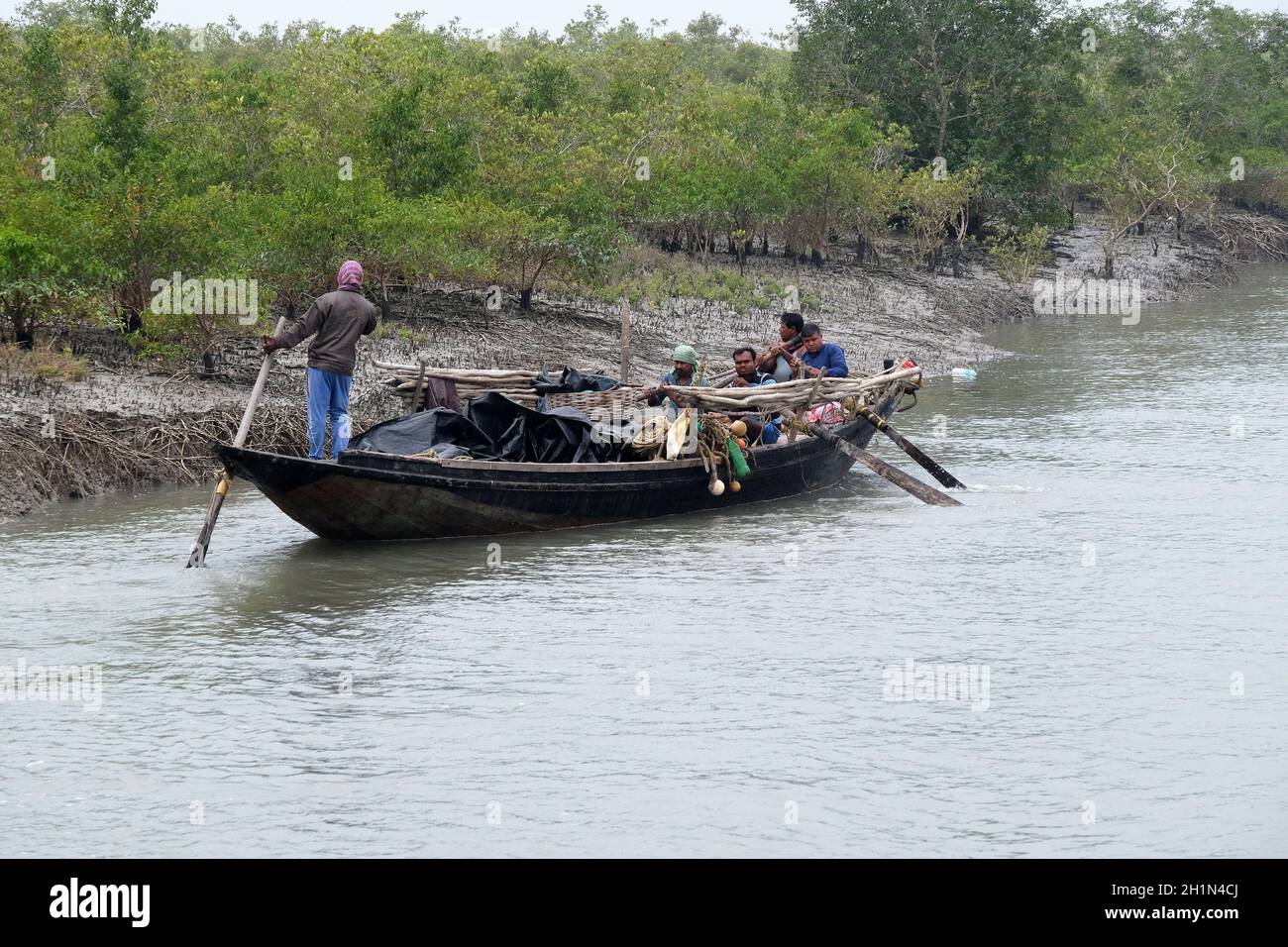 Rowing boat in the swampy areas of the Sundarbans, UNESCO World ...