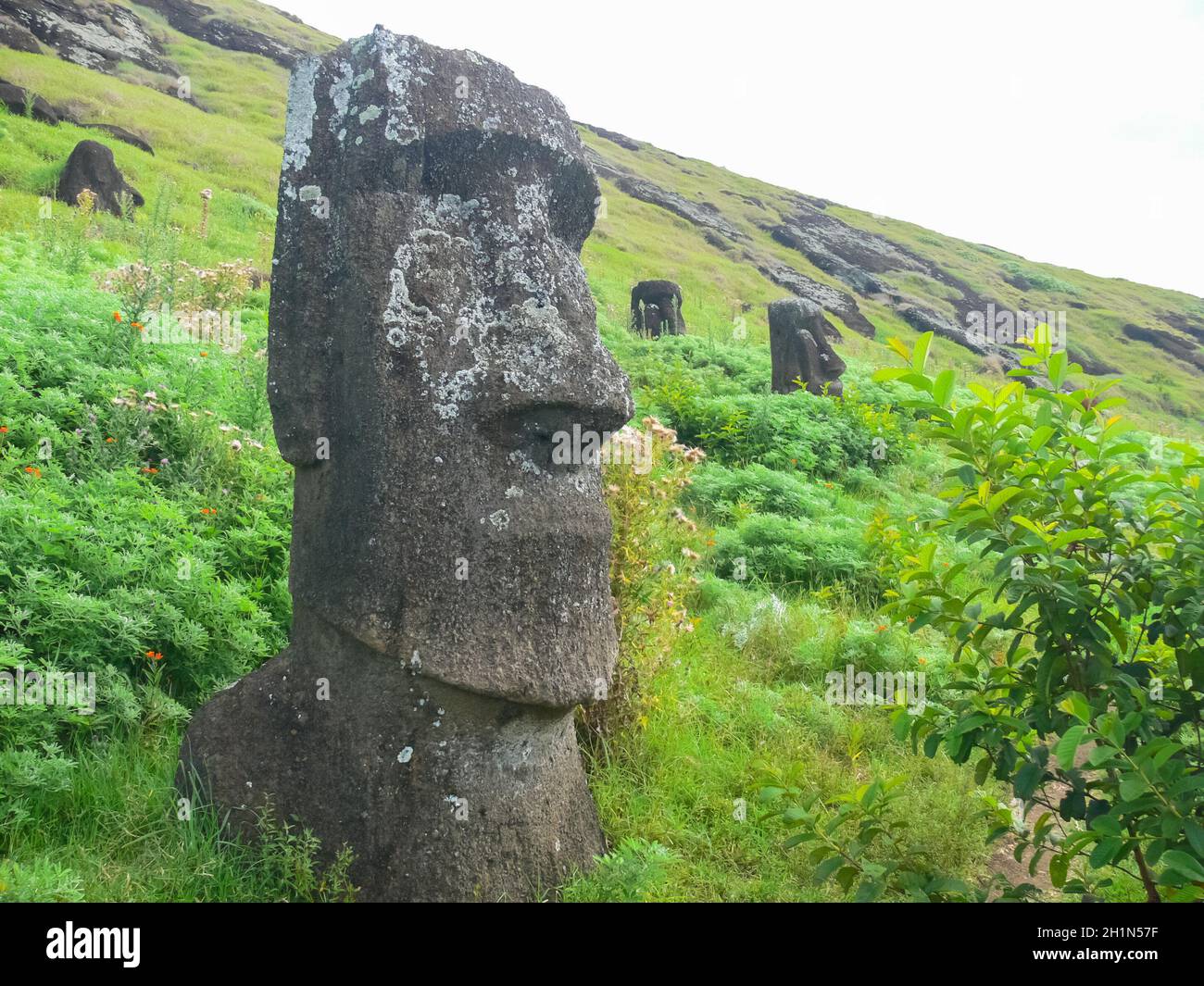 Statues of the gods of Easter Island. Ancient statues of ancient ...