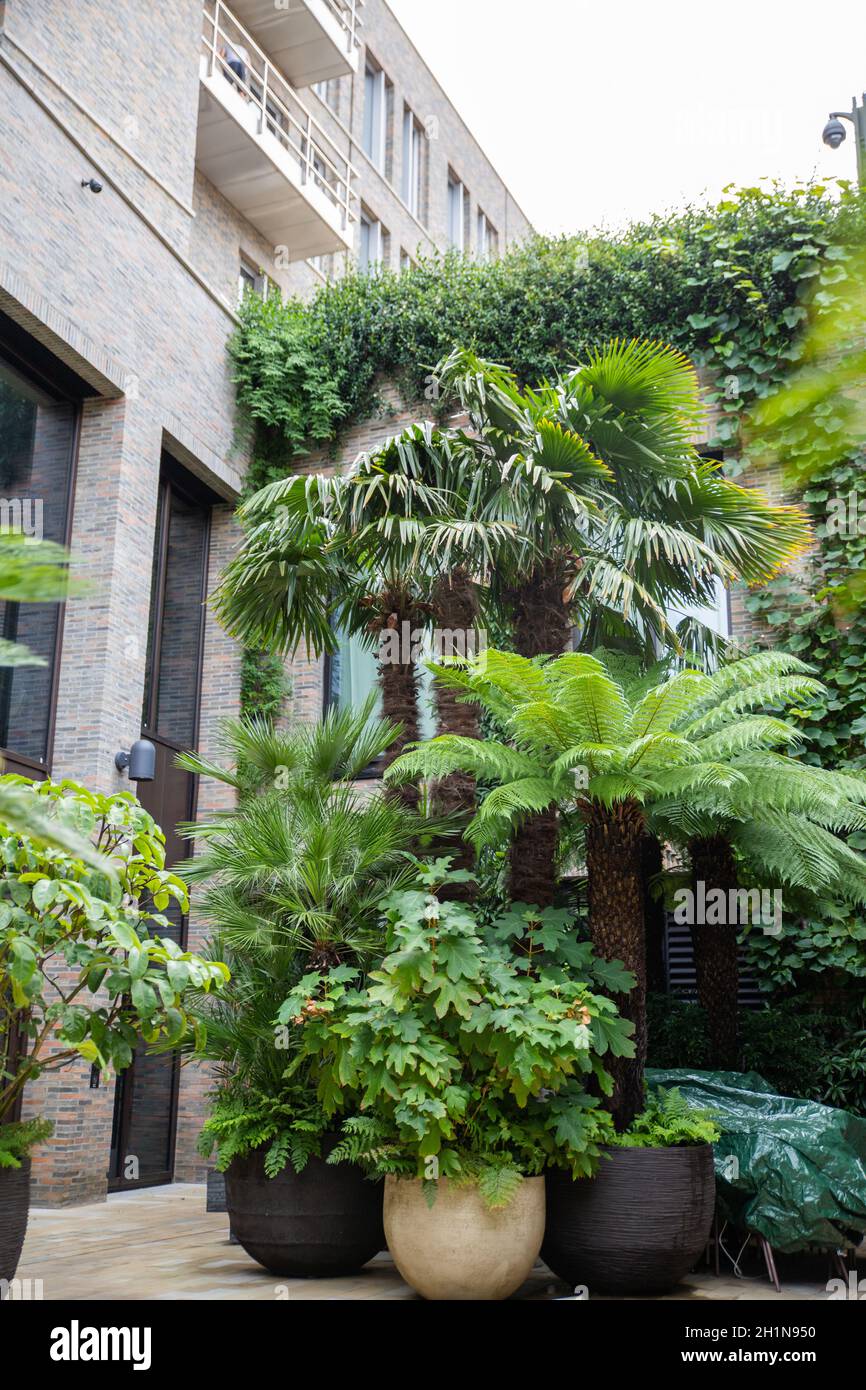 Plants and small palm trees down the stairs and at the entrance of gray ...