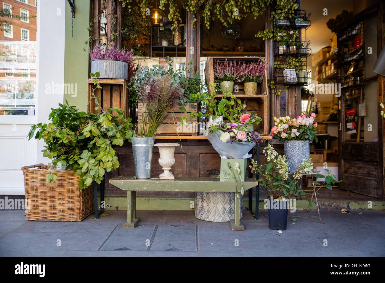 Beautiful Flowers and plants displayed outside green British shop ...