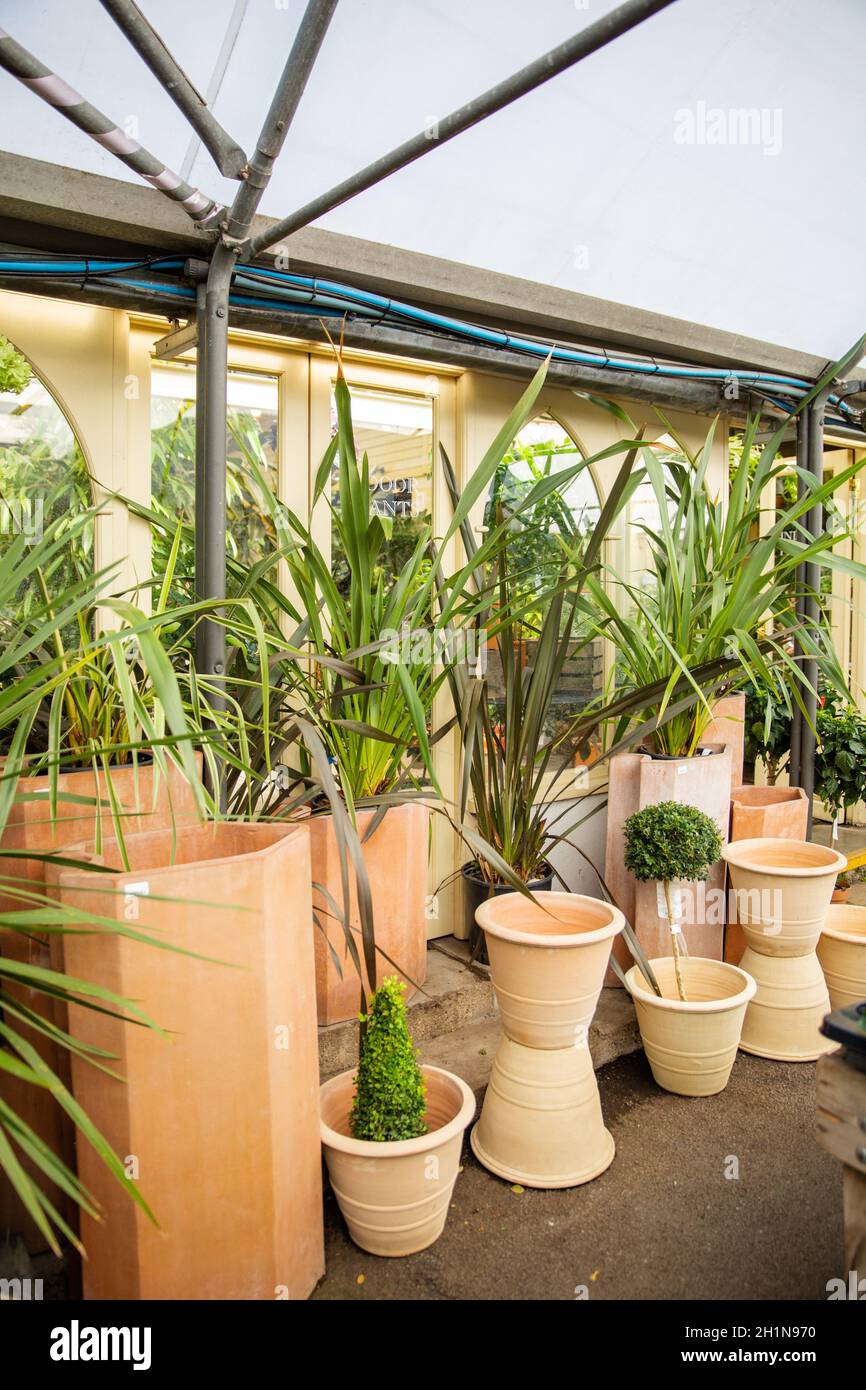 Display of plants and small trees inside shop. Variety of fresh plants ...