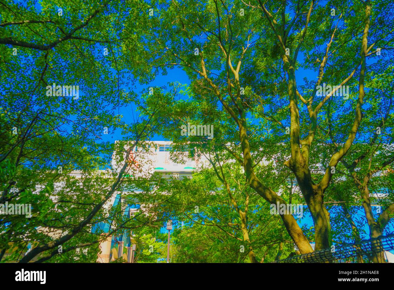 Tamagawa river bridge hi-res stock photography and images - Alamy